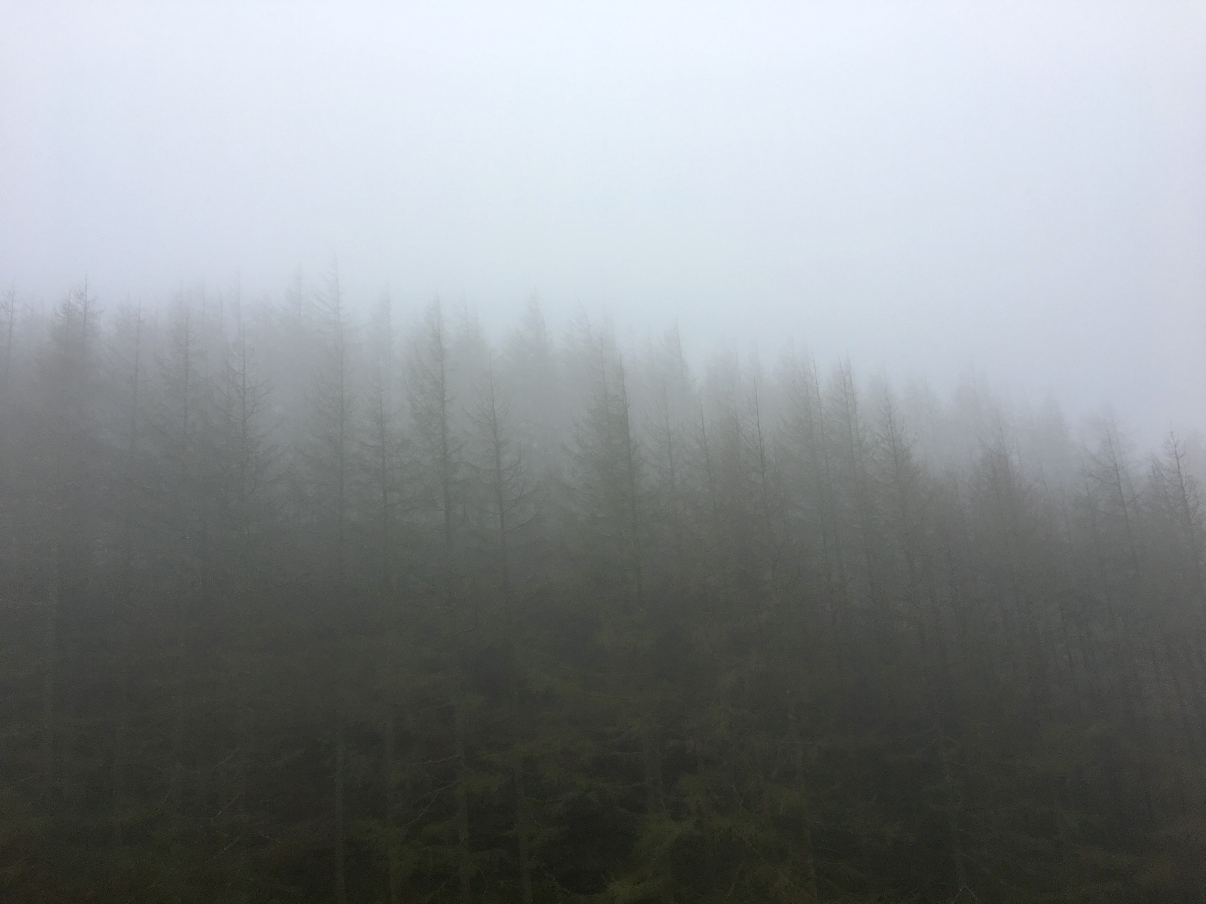 callie daniels-howell